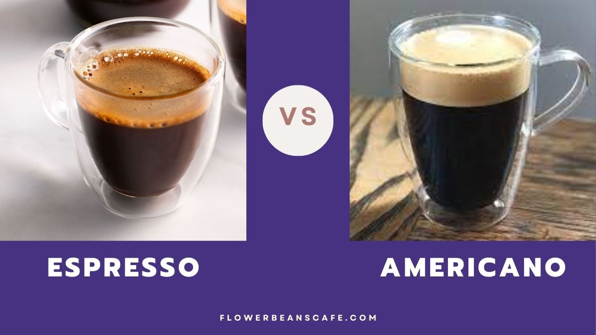 Espresso or Americano: A Taste and Caffeine Showdown - Flower Beans Cafe